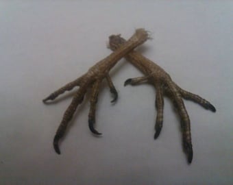 Quail feet | Etsy
