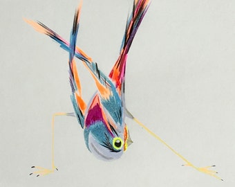 Mandarin Duck Fallen Triangle by birdsdoingyoga on Etsy