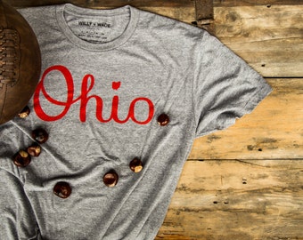 Items similar to PDF Pattern - Ohio State Buckeyes Cross Stitch Pattern ...