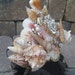 High Quality Seashell Queen Crown Mermaid Crown by ConchQueens
