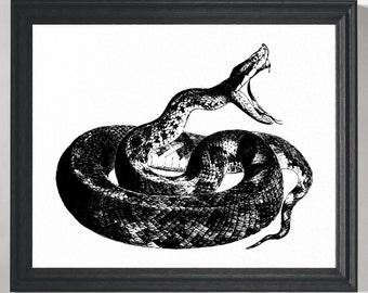 Snake poster | Etsy