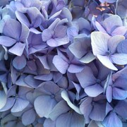 UNION SALT WORKS by unionsaltworks on Etsy