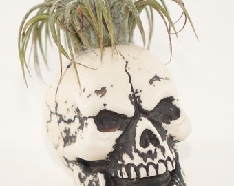 Diplodocus Dinosaur Planter Pot Room Decor Desktop by ItsBees