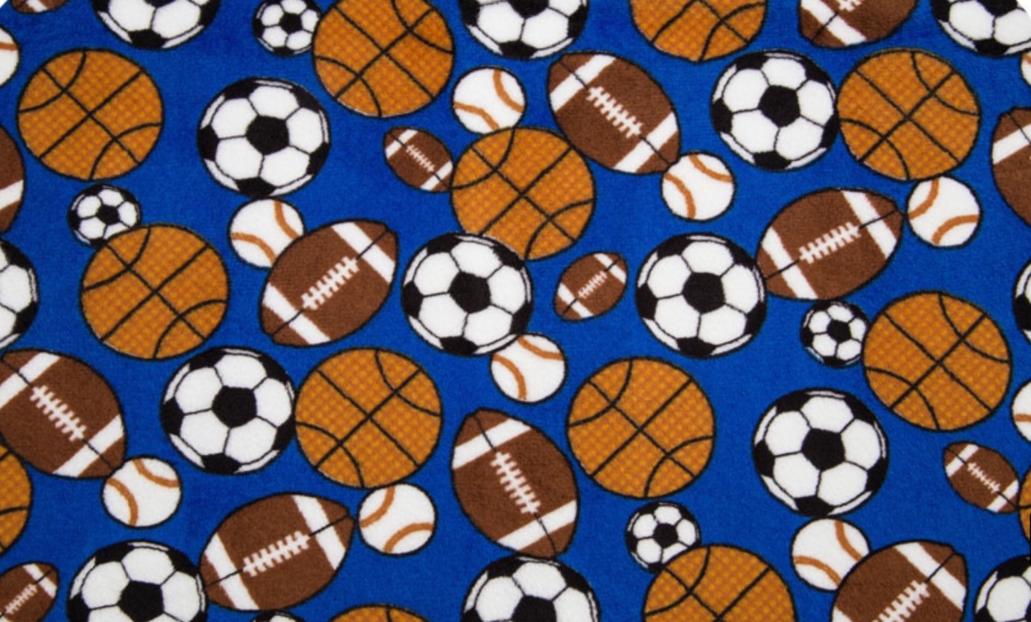 Sports Minky Fabric by the Half Yard Blue Multi Sports Shannon