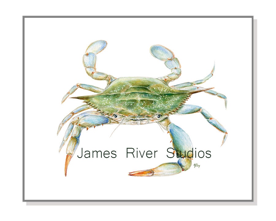 Crab Painting Crab Watercolor Painting Blue Crab Art Print