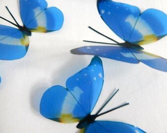 Bring your home to life with our incredible by Flutterframes