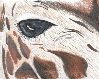 Giraffe drawing | Etsy