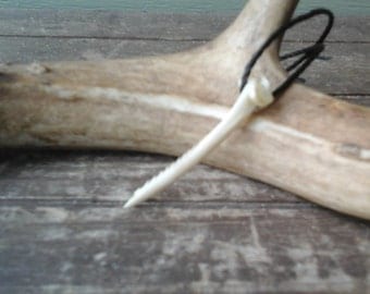 Catfish bones | Etsy