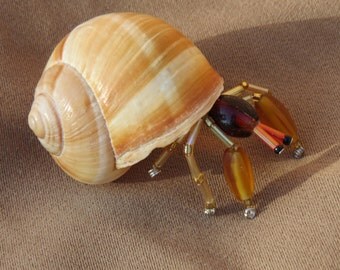 Hermit crab shell | Etsy