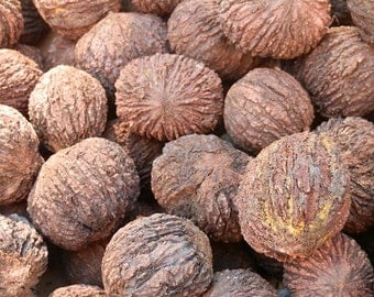 Black walnut shells | Etsy