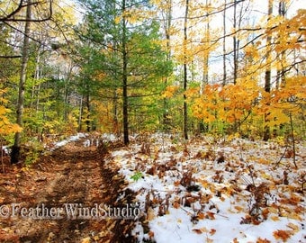 Trailing leaves | Etsy