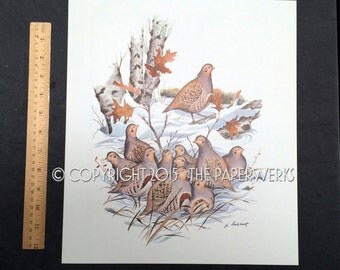 James lockhart | Etsy