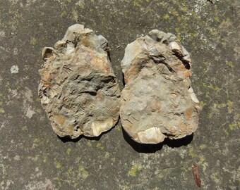 Unique shale related items | Etsy