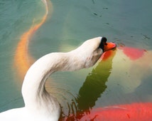 Unique the wild swans related items | Etsy