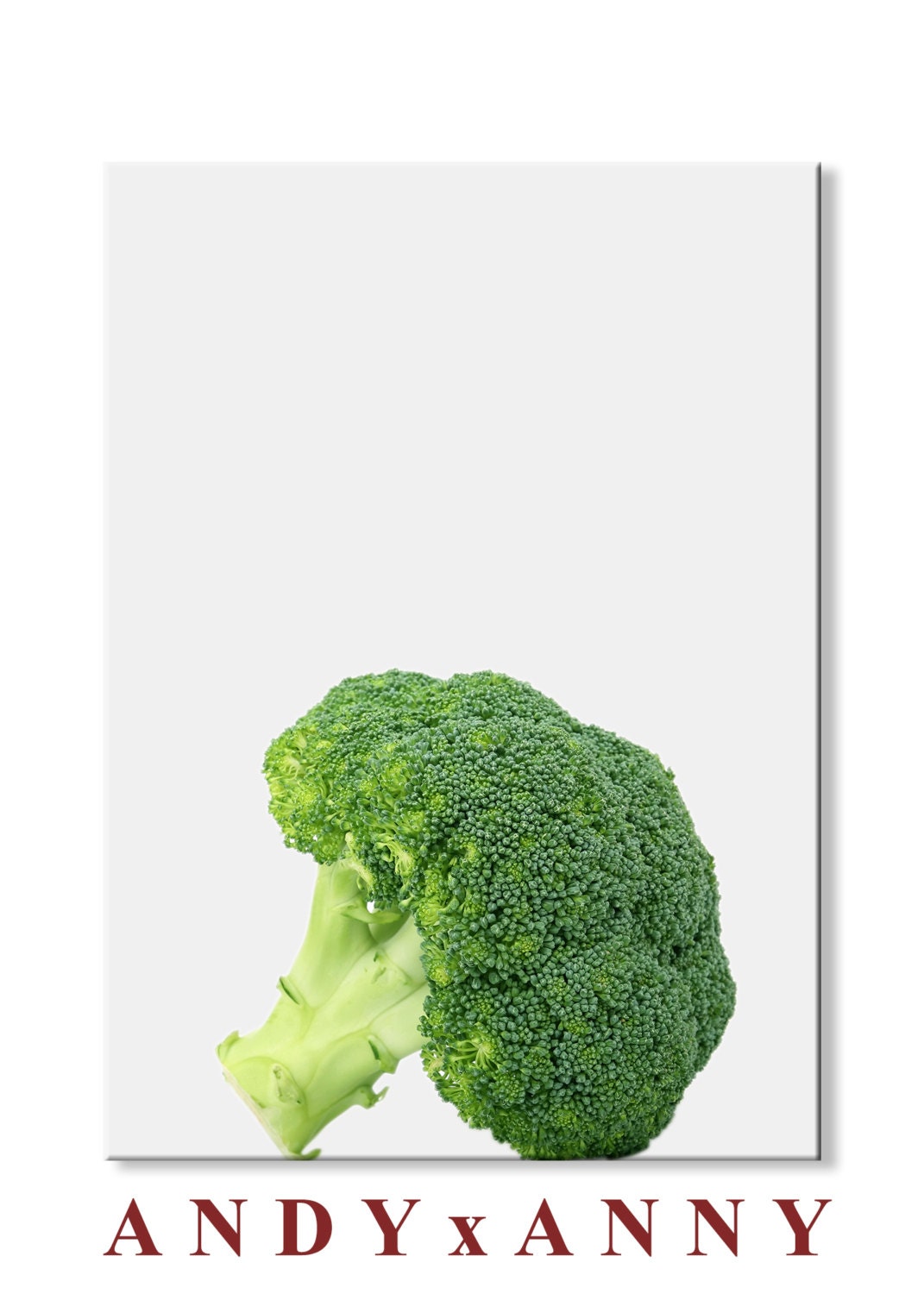 Broccoli Photo Broccoli Print Food Print Broccoli by ANDYxANNY