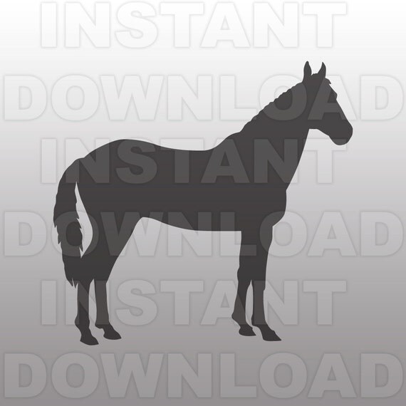 Show Horse SVG File Farm Animal SVG File Vector Clip Art