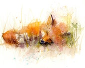 Jen Buckley Art. limited edition animal art by JenBuckleyArt