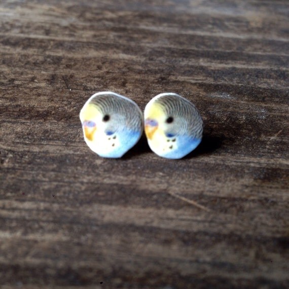 Budgie earrings parakeet earrings parrot earrings parakeet