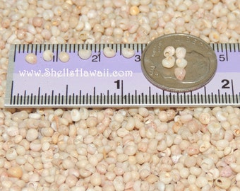 Hawaiian Heirloom jewelry. Made with aloha...by by ShellsHawaii