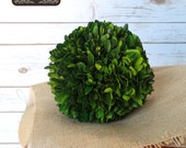 Preserved boxwood | Etsy