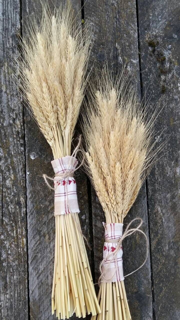 natural wheat dried flowers bouquet ears of rye by goodieshill