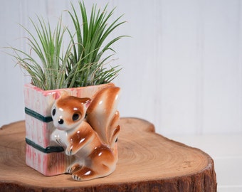Squirrel planter | Etsy