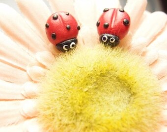 Polymer clay ladybug | Etsy