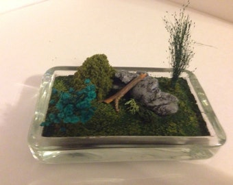 Nature diorama | Etsy