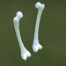 Femur bone printable DIY pdf template