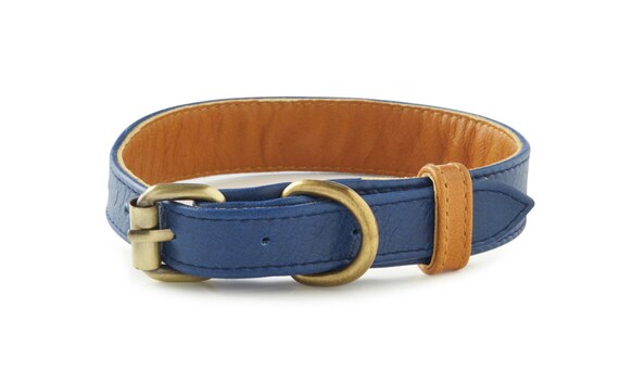 Beaufort Blue Leather Dog Collar by TheGoldenDogCo on Etsy