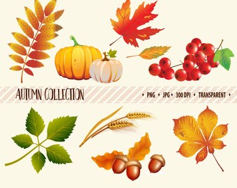 Thanksgiving clip art | Etsy