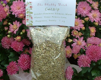 Blue Lemon Catnip Herb Seeds/Nepeta Cataria/Perennial 40