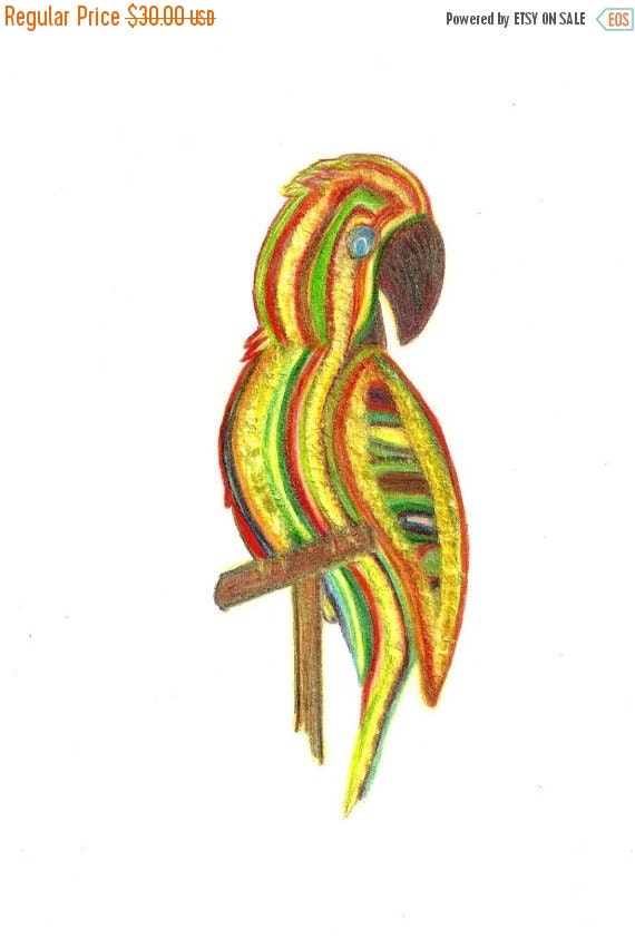 On Sale Parrot of Caribbean Original Tri-Color Pencil by rostudios