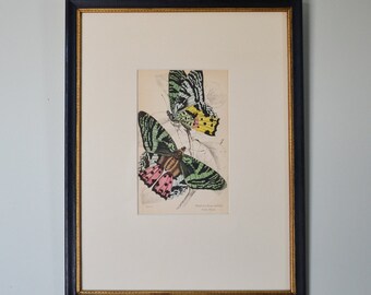 Butterfly engraving | Etsy