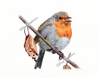 Articles similaires à Impression d’oiseaux, oiseaux aquarelle ...