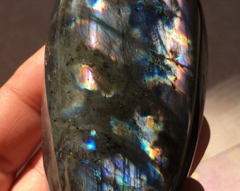 Unique madagascar palm related items | Etsy