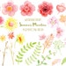 Watercolor Clipart Summer Meadow Floral collection for instant