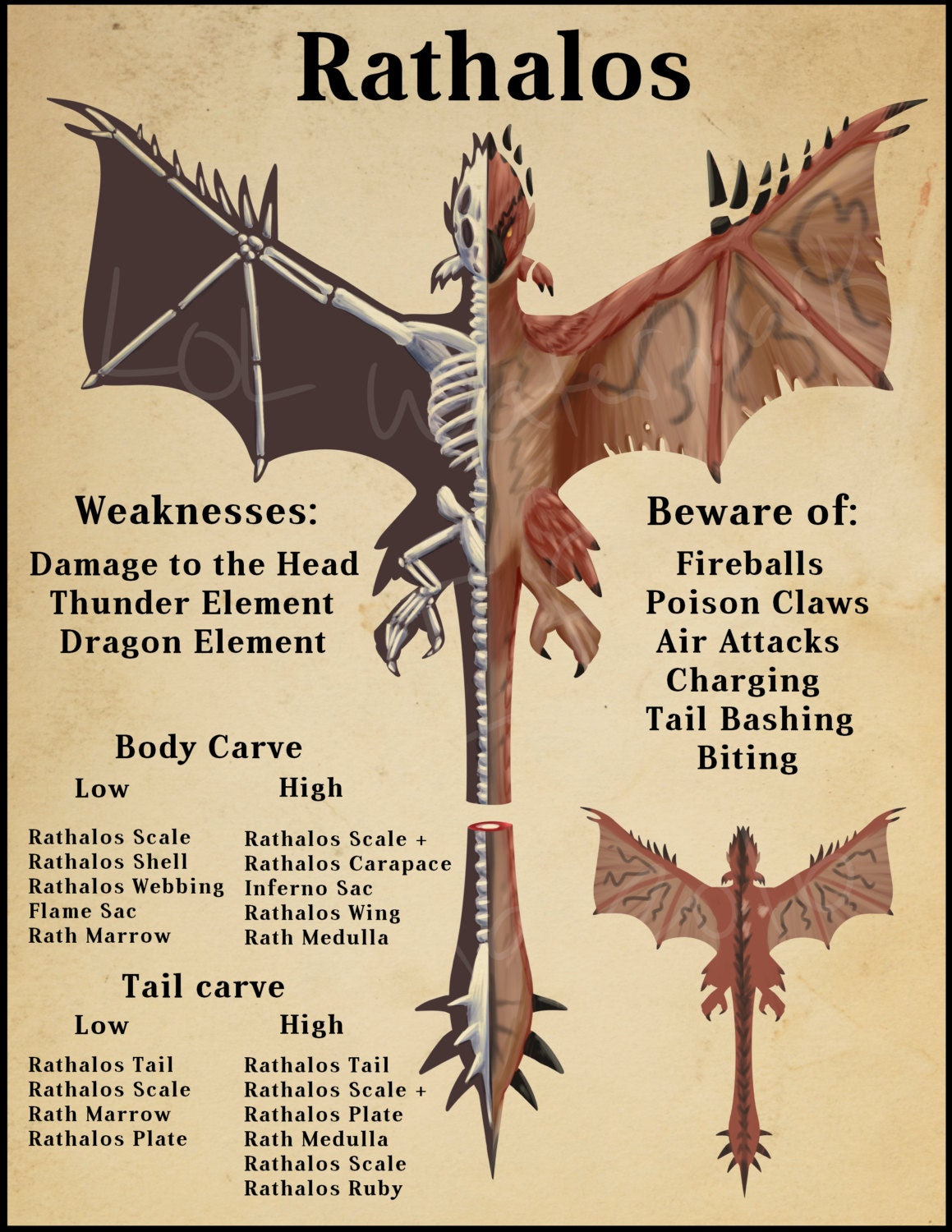 Monster hunter Rathalos Anatomy Poster