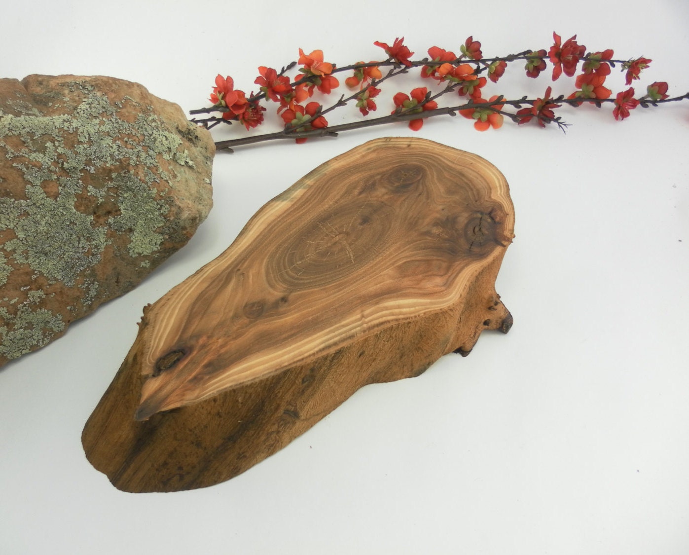 Gorgeous Large Elm Tree Slice- Wall Hanging, Candle Stand, Centerpiece ...