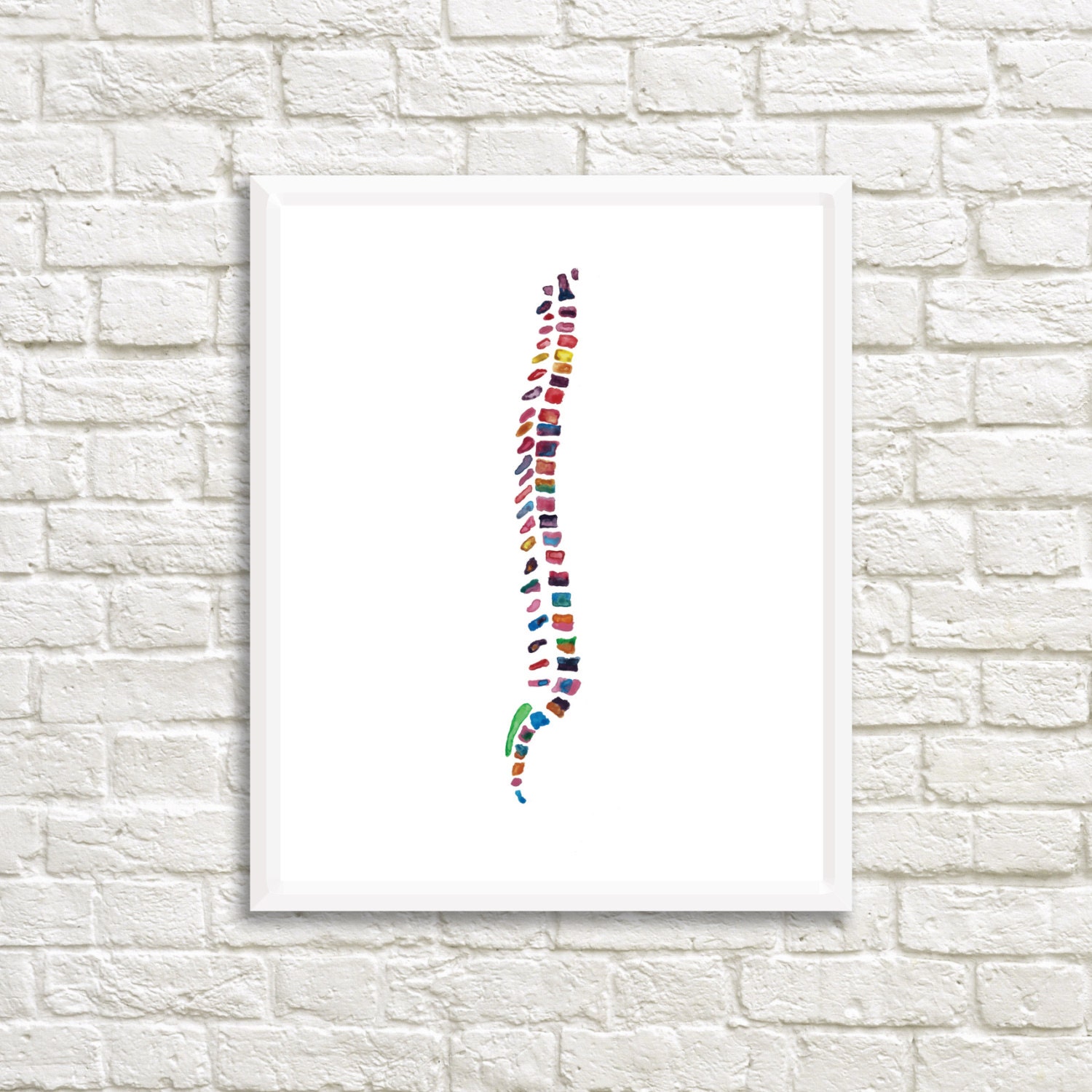 Chiropractor Art Print Spine Art Print Watercolor Anatomy