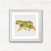 Bear Cross Stitch Pattern Boar Sow Animal Modern by Stitchonomy