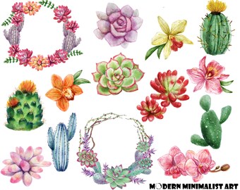 Succulents clipart | Etsy
