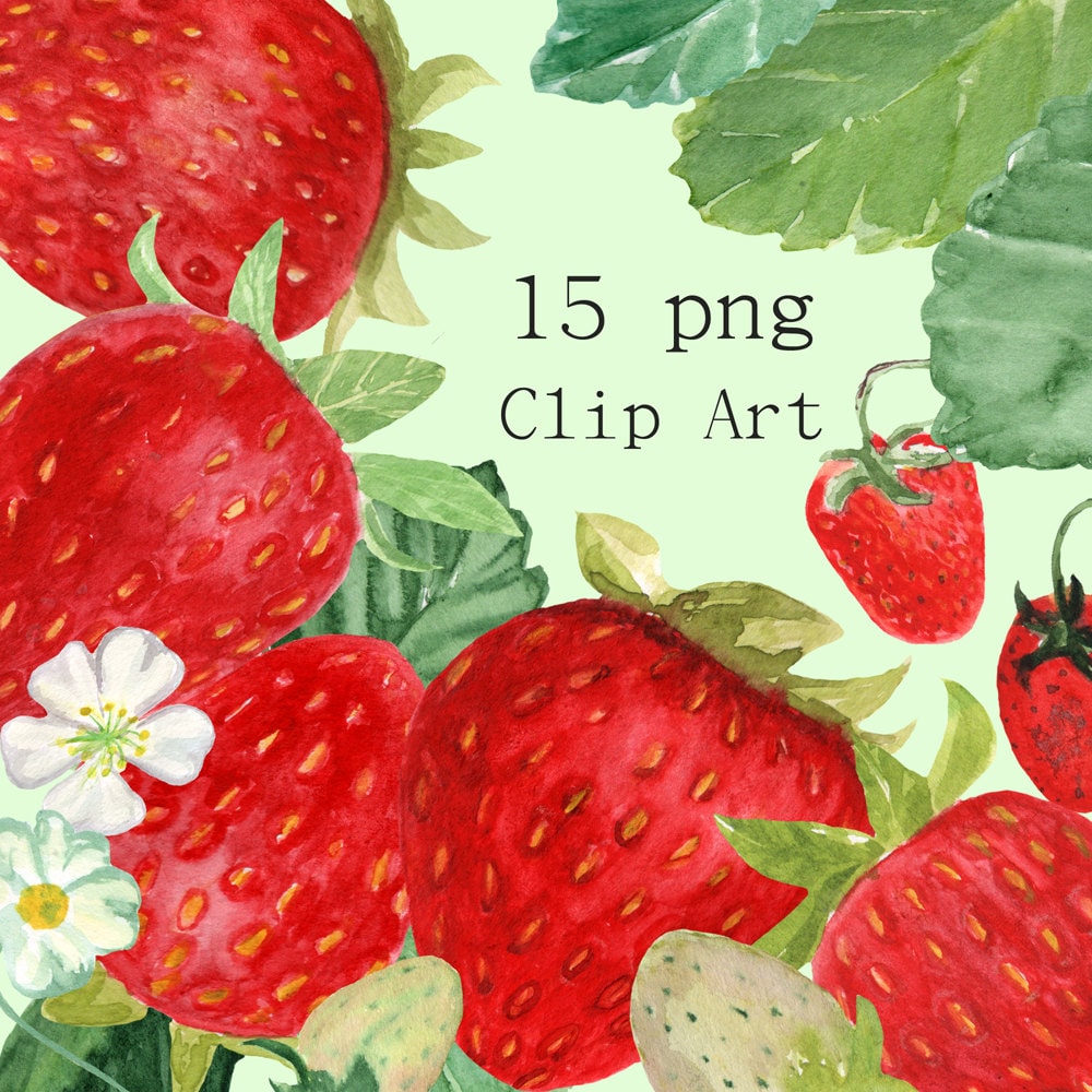 15 Hand-Painted Watercolor Strawberries Clip Art