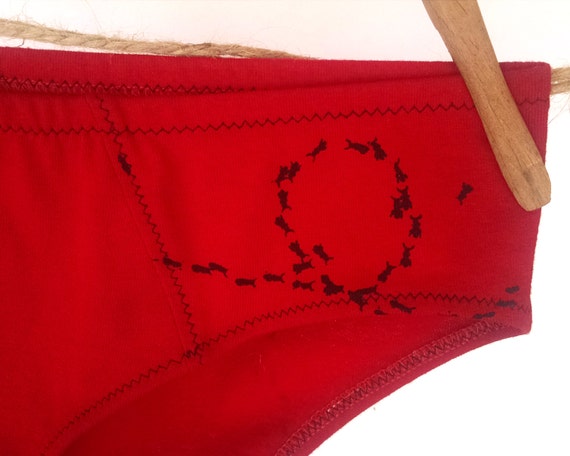Ants In Your Pants Womens Underwear Recycled Cotton