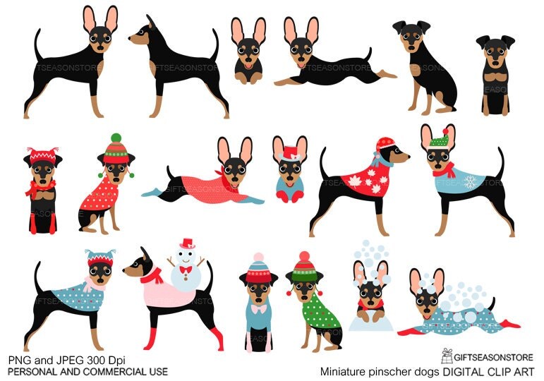 Miniature pinscher dogs Digital clip art for Personal and