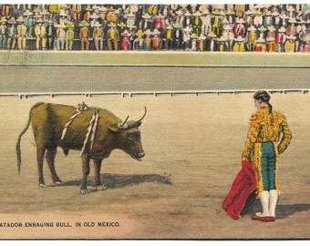 Matador costume | Etsy