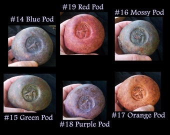 Ceramic rattle | Etsy