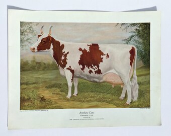 Items similar to Jersey Cow Print on Etsy