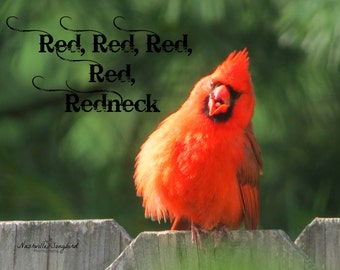 Redneck decor | Etsy