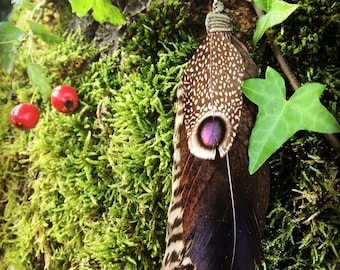 Unique exotic feathers related items | Etsy